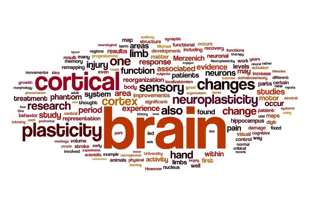 How Advanced Rehabilitation Technology helps Spinal Cord and Brain ...