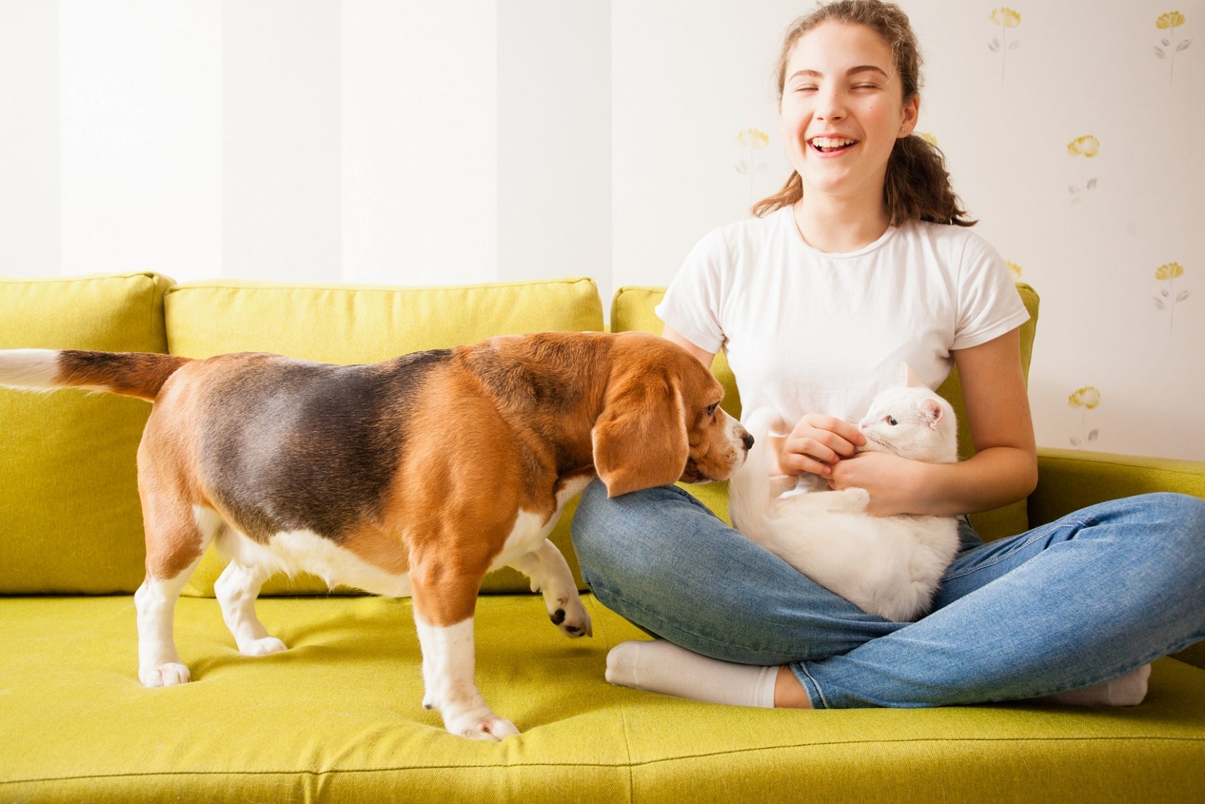 Animals in therapy? Dogs, cats and other animals can contribute to ...